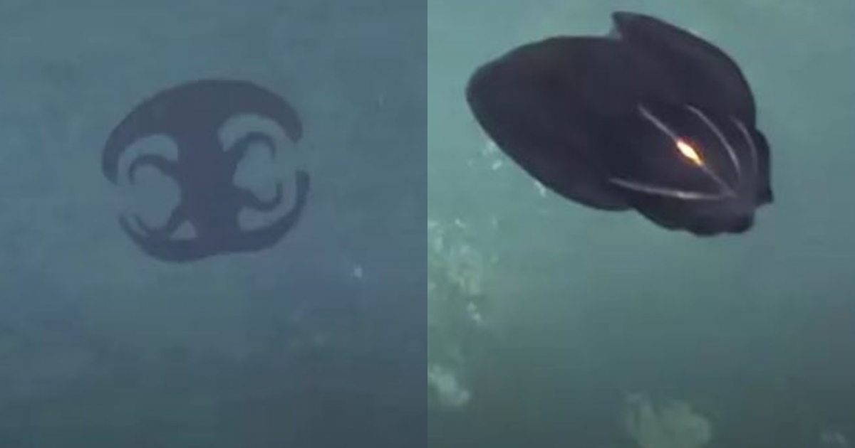 'Alien Creature' Transforms into completely new beast at 3,700ft depth 'Alien Creature' Transforms into completely new beast at 3,700ft depth